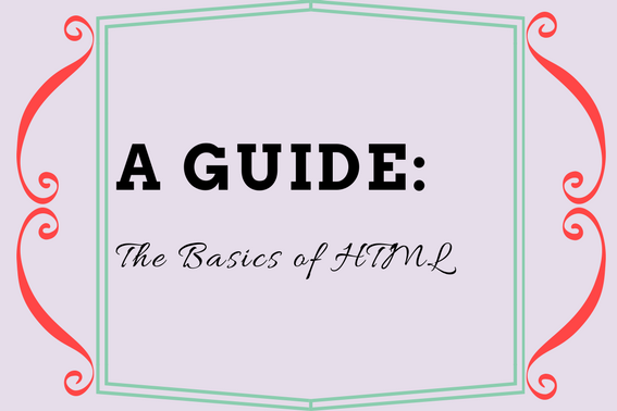 A Guide: The Basics of HTML – Blue Eye Books